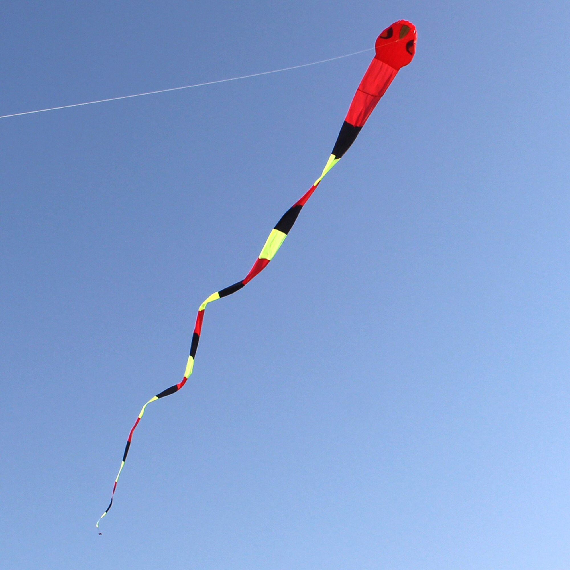 Snake Kites Chinese Traditional Kites Shandong Weifang - Etsy