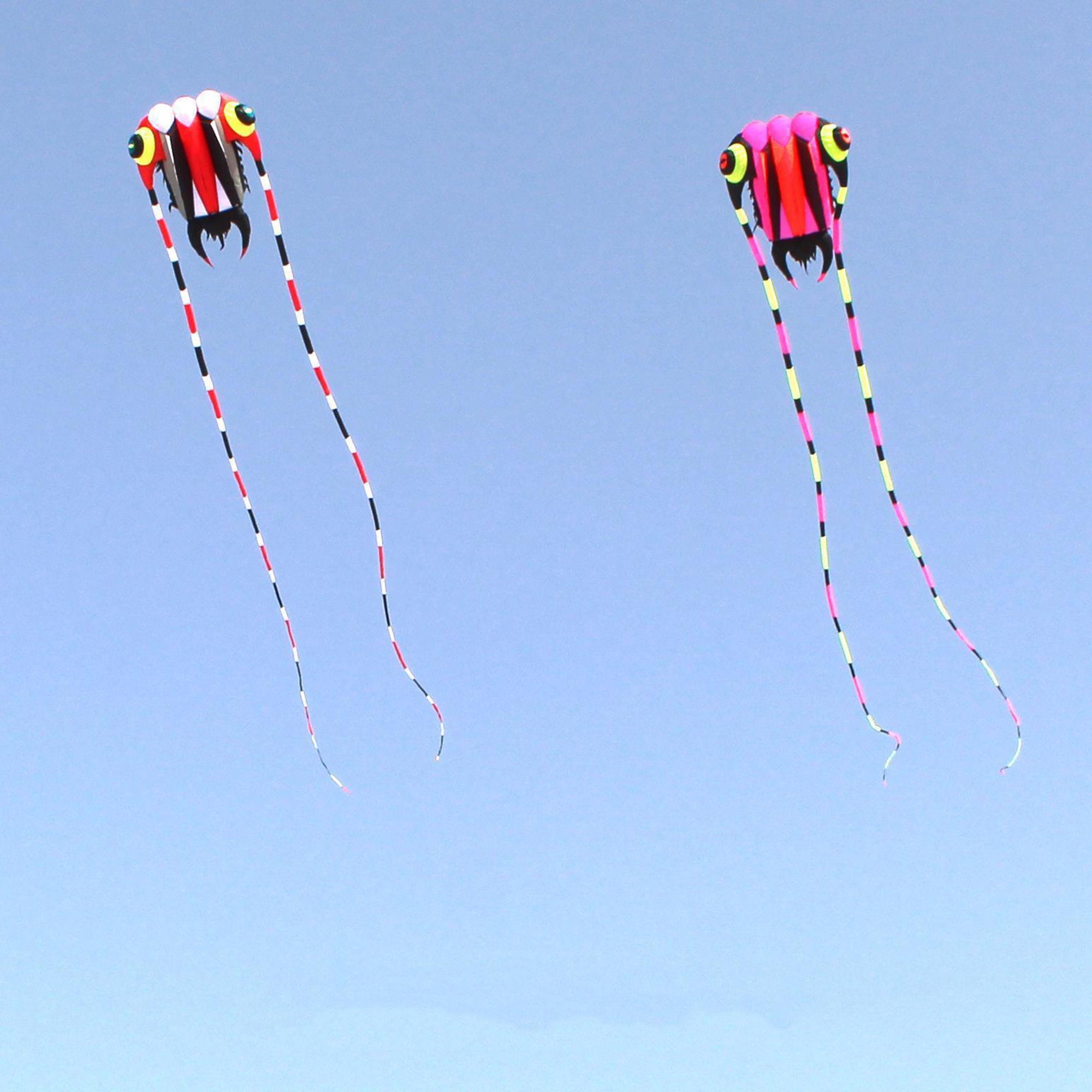 6 Meters Long Kite, Three-dimensional Kite, Three-leaf Easy-flying Kite ...