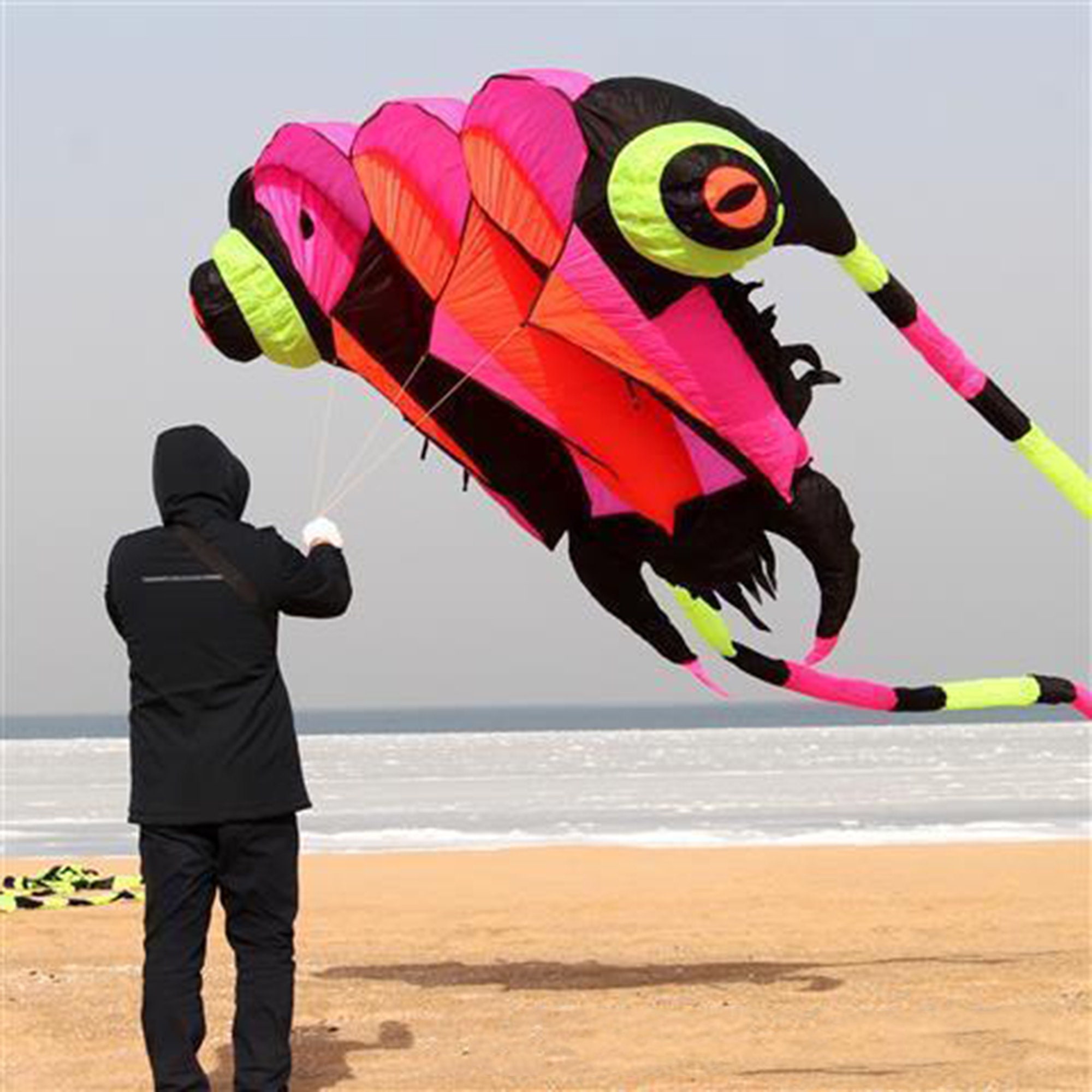 6 Meters Long Kite Three-dimensional Kite Three-leaf - Etsy
