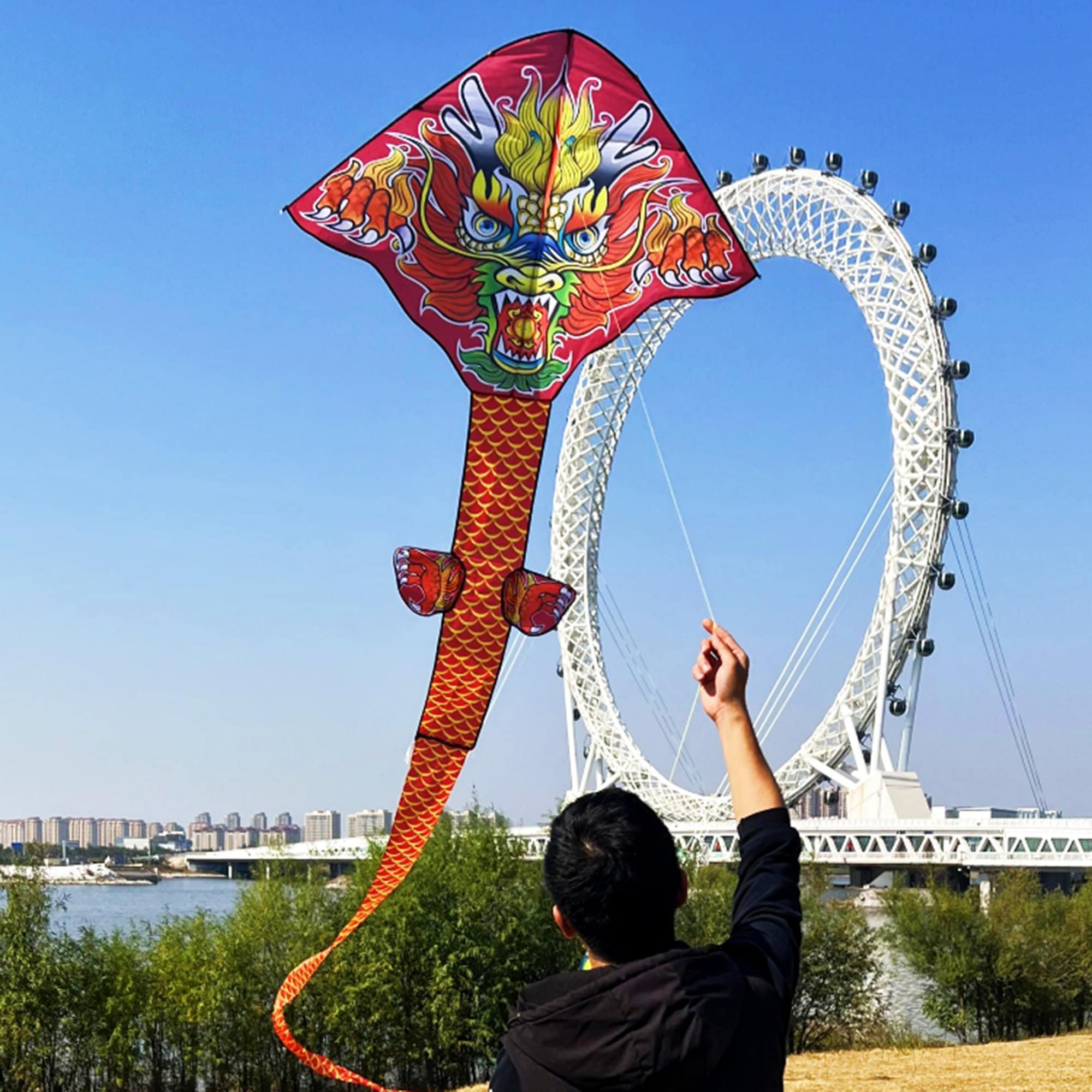 Chinese Handmade Kites, Super Dragon Kites, Long Tail Kites, Adult ...