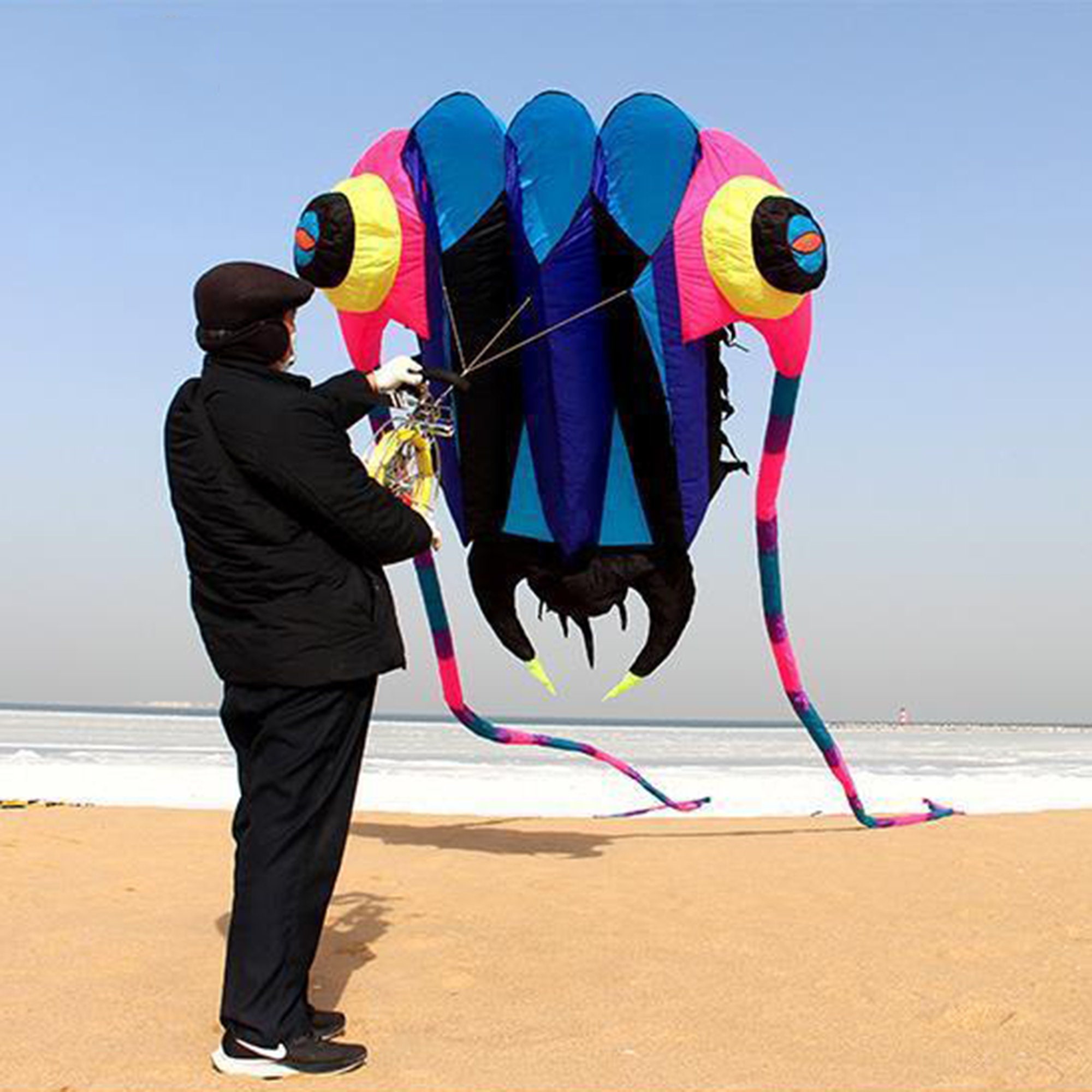 6 Meters Long Kite, Three-dimensional Kite, Three-leaf Easy-flying Kite ...