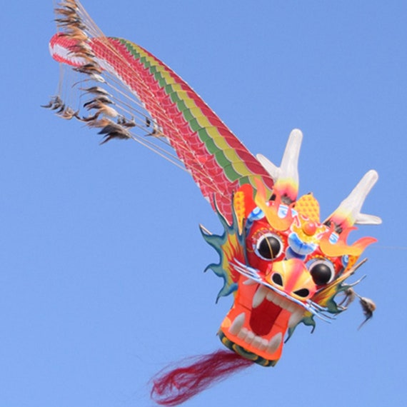 Dragon Kites