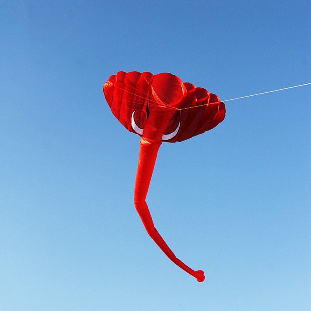 Elephant Kites, Soft Skeleton Kites, Large Long Tail Kites, Adult Kites ...