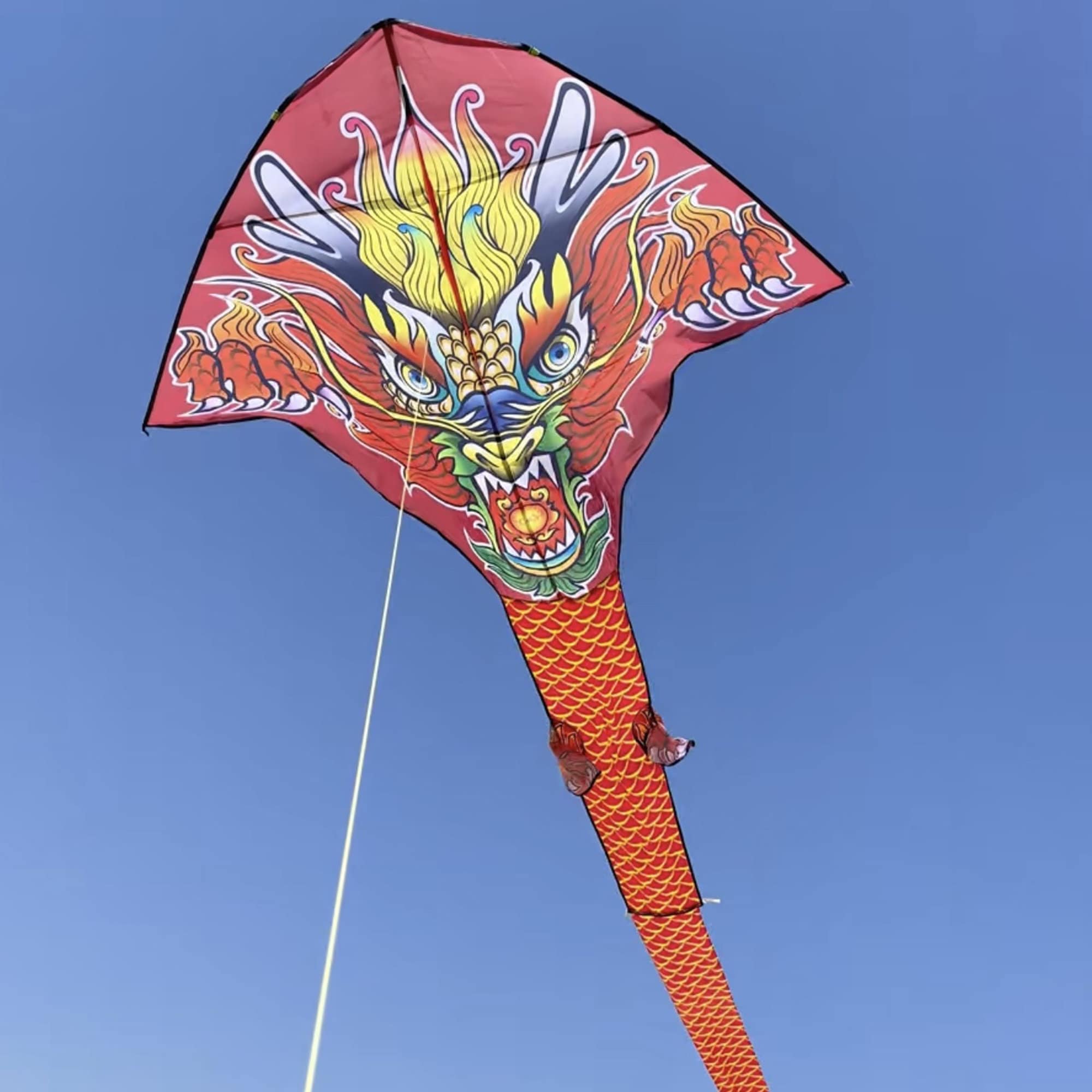 Chinese Handmade Kites, Super Dragon Kites, Long Tail Kites, Adult ...