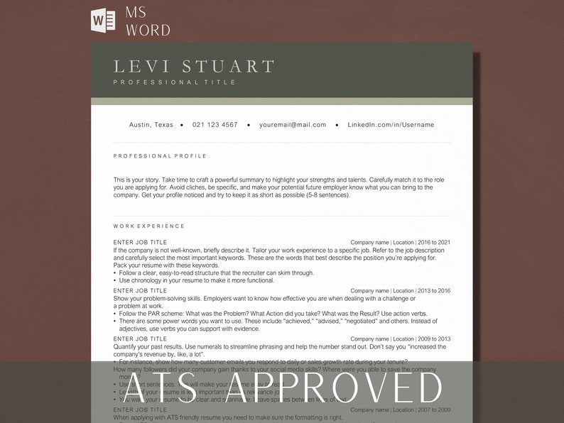 Executive Resume Template ATS, Modern ATS Resume Template Word, Resume ...