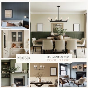 MALABAR Sherwin Williams Color of the Year 2025 Peaceful Neutral Color ...