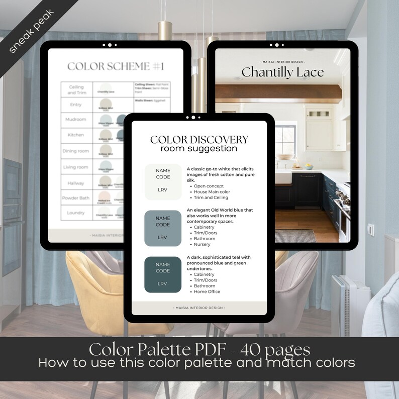 BALBOA MIST Benjamin Moore Color Palette Whole House Paint Palette ...