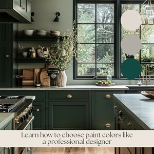 Sherwin Williams Paint Palette Paint Colors for Home MAXIMALIST Color ...