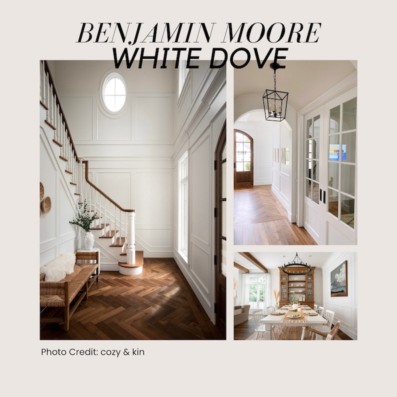 Benjamin Moore Color Palette 2023 WHITE DOVE Color Palette - Etsy Canada Benjamin Moore Color Palette 2023 WHITE DOVE Color Palette - Etsy Canada