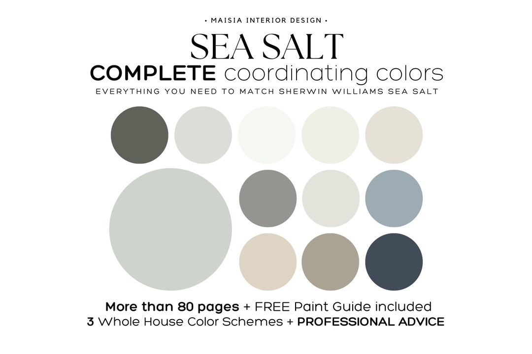 Sherwin Williams SEA SALT Sherwin Williams Paint Color Palette Coastal ...