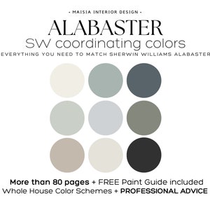 Sherwin Williams ALABASTER Paint Palette Modern Farmhouse Paint Color ...