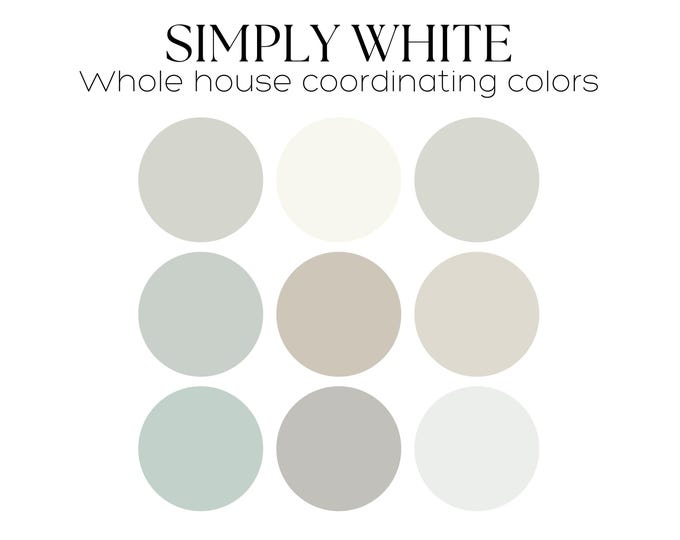 Cloud White Color Palette Benjamin Moore Paint Palette Ballet White ...