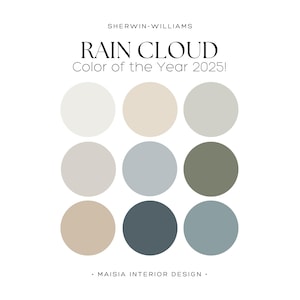 RAIN CLOUD Sherwin Williams Color Palette of the Year 2025 Whole House ...