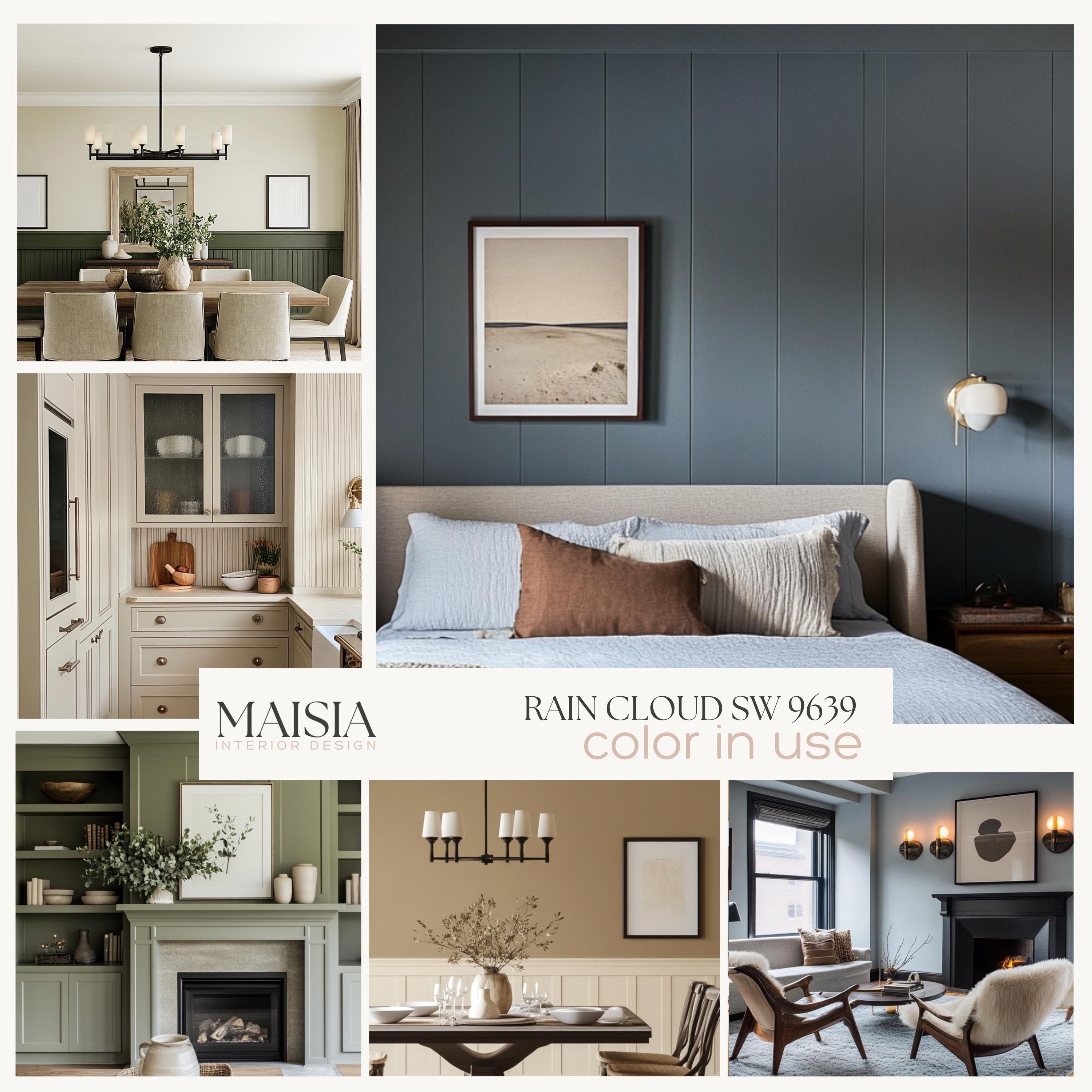 RAIN CLOUD Sherwin Williams Color Palette of the Year 2025 Whole House ...