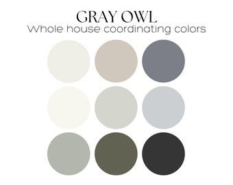 Gray Owl Paint Palette- Benjamin Moore - Etsy