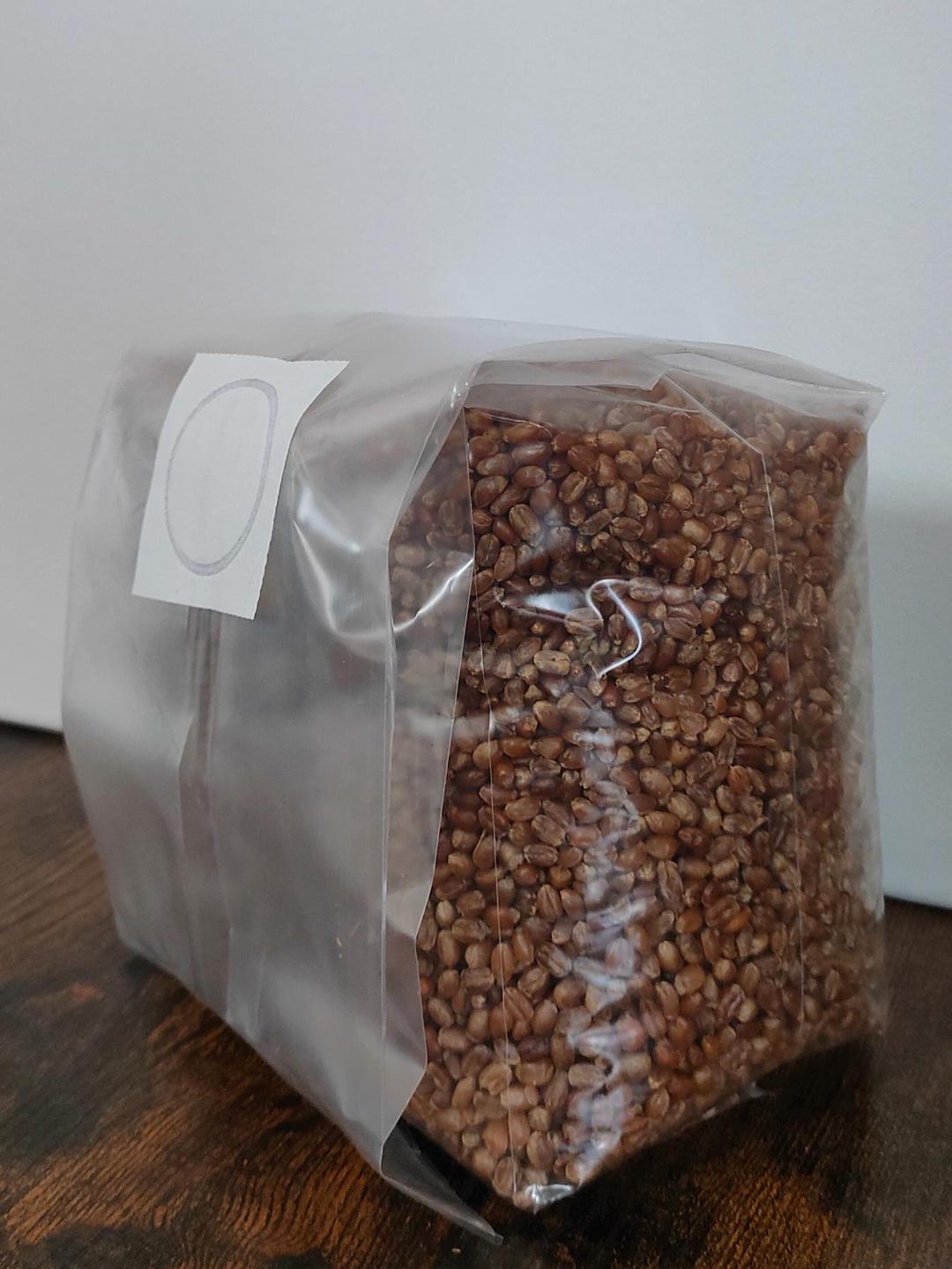 Mushroom Grain Spawn Bag I Sterile Wheat Grain I 1 Kg / 2 Kg - Etsy