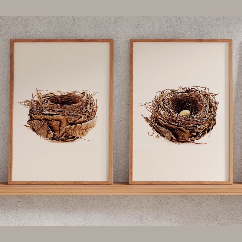Bird Nest Print - Etsy
