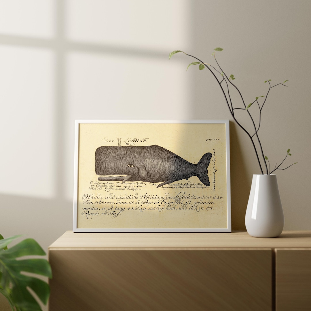 Antique Whale Poster Print, Vintage Whale Art Print, Nautical Print ...