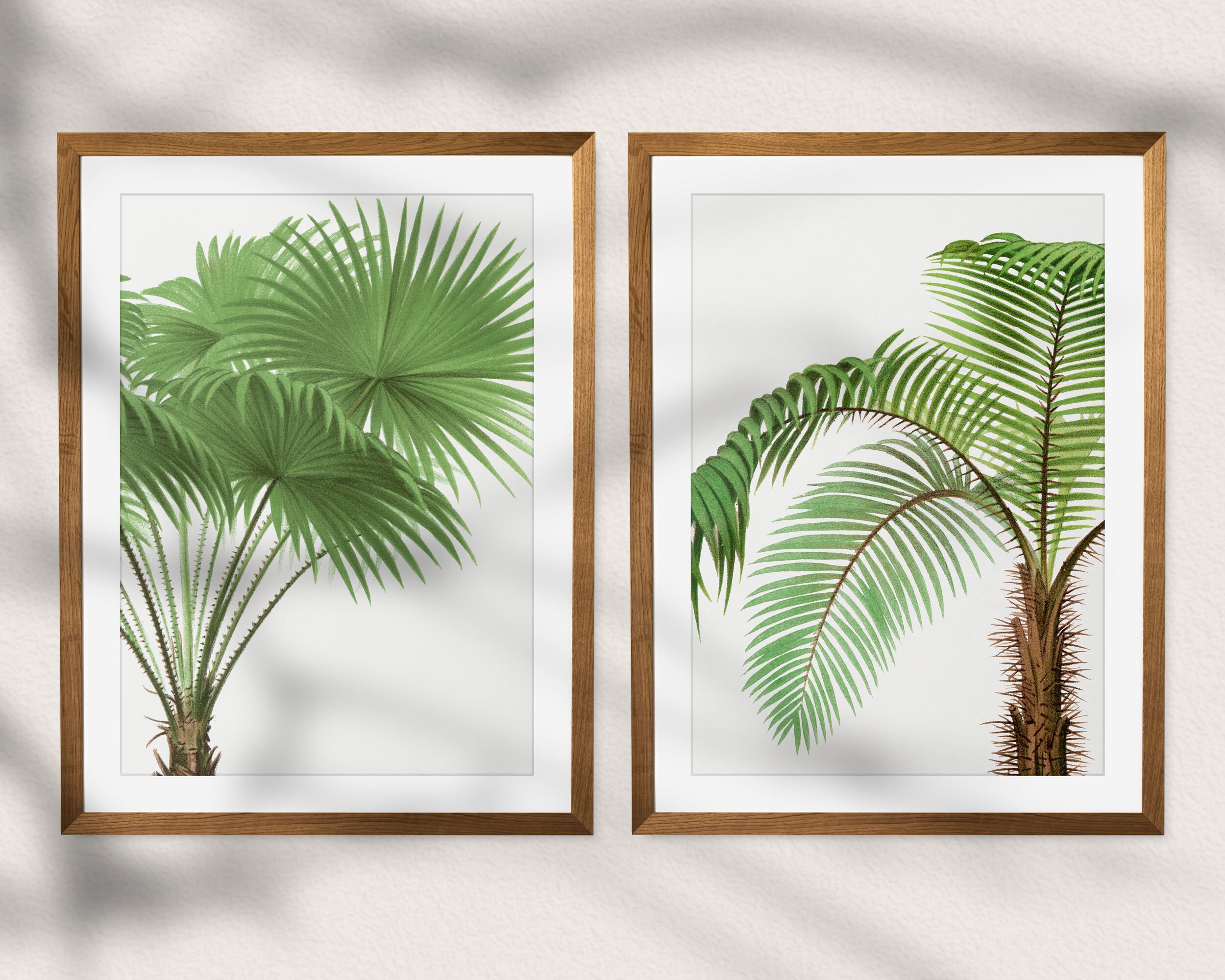 Palm Leaf Set of 2 Palm Tree Print Plant Posters Set Tropical Plant ...