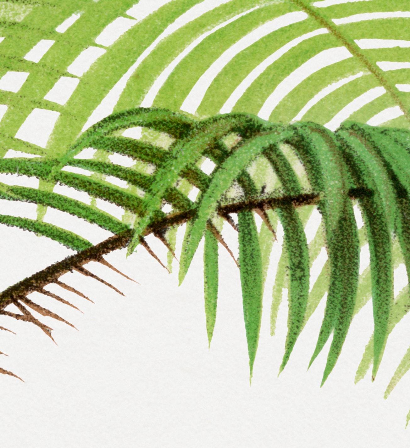 Palm Leaf Set of 2 Palm Tree Print Plant Posters Set Tropical Plant ...