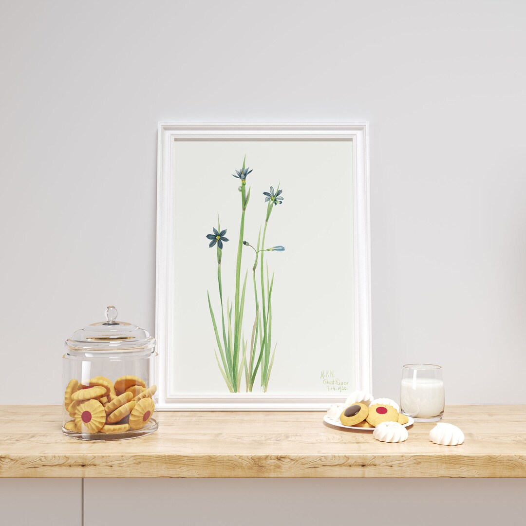 Abstract Blue Flower Print With Frame Flower Poster Vintage Flower ...