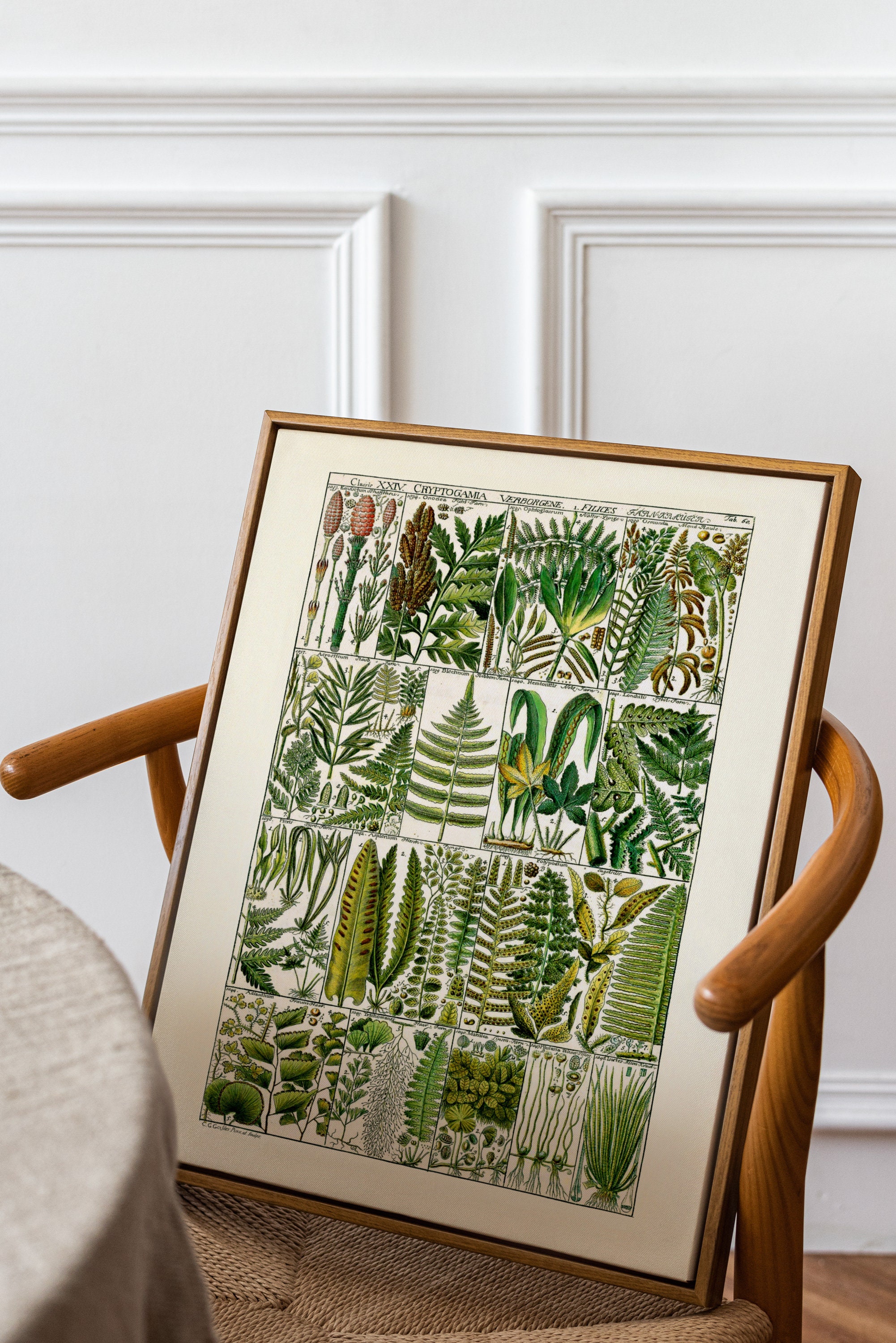 Fern Print With Frame Fern Botanical Poster Vintage Plant Print Framed ...
