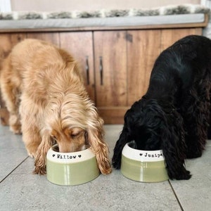Personalised Cocker Spaniel Bowl: Handmade Ceramic Dog Dish, Ear-free ...