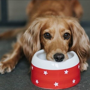 Personalised Cocker Spaniel Bowl: Handmade Ceramic Dog Dish, Ear-free ...