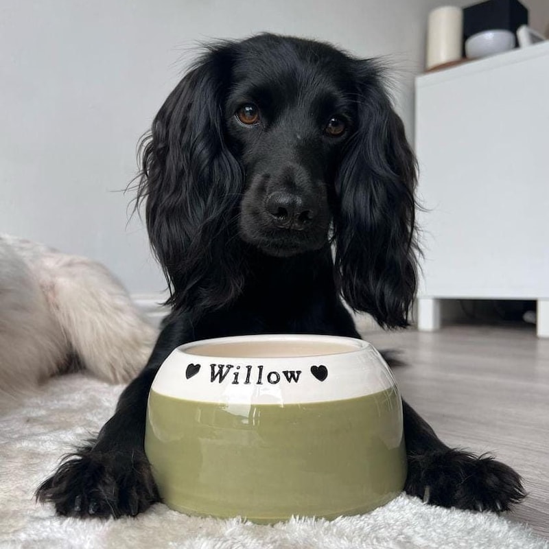 Dog Bowl - Etsy