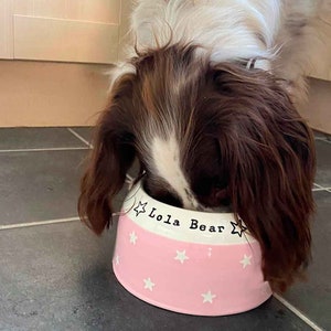Springer Spaniel Bowl - Etsy