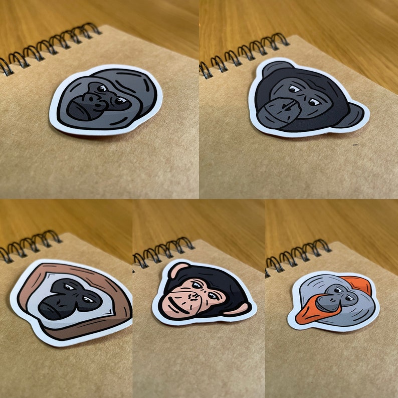 Ape Stickers Pack, Gorilla, Orangutan, Gibbon, Chimp, Bonobo, Monkey ...