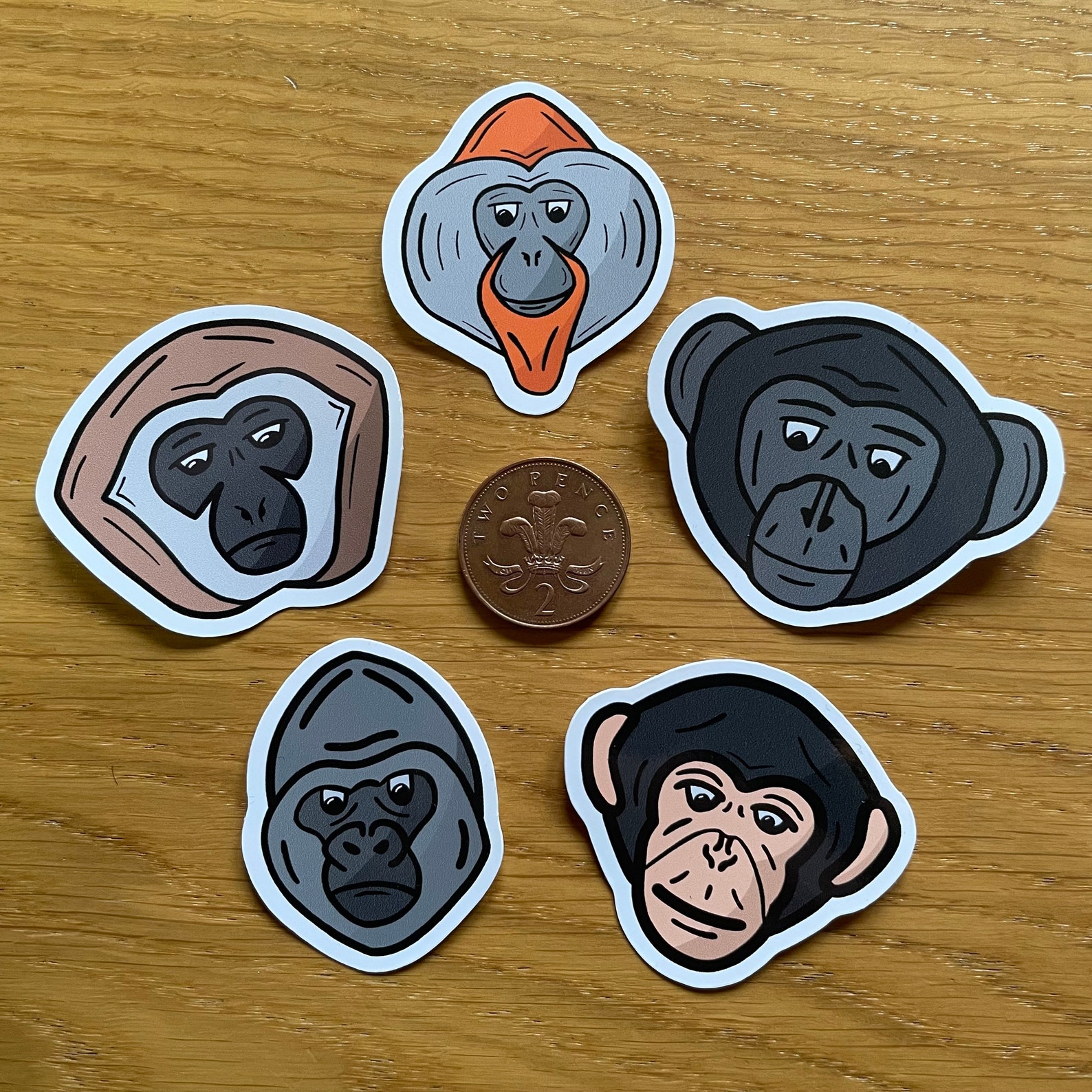 Ape Stickers Pack, Gorilla, Orangutan, Gibbon, Chimp, Bonobo, Monkey ...