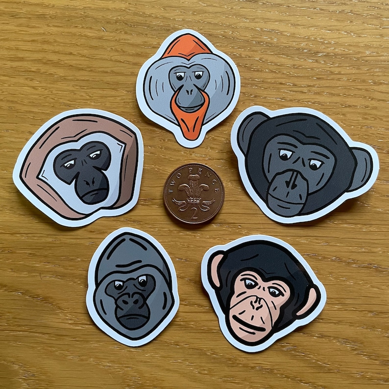 Ape Stickers Pack, Gorilla, Orangutan, Gibbon, Chimp, Bonobo, Monkey ...