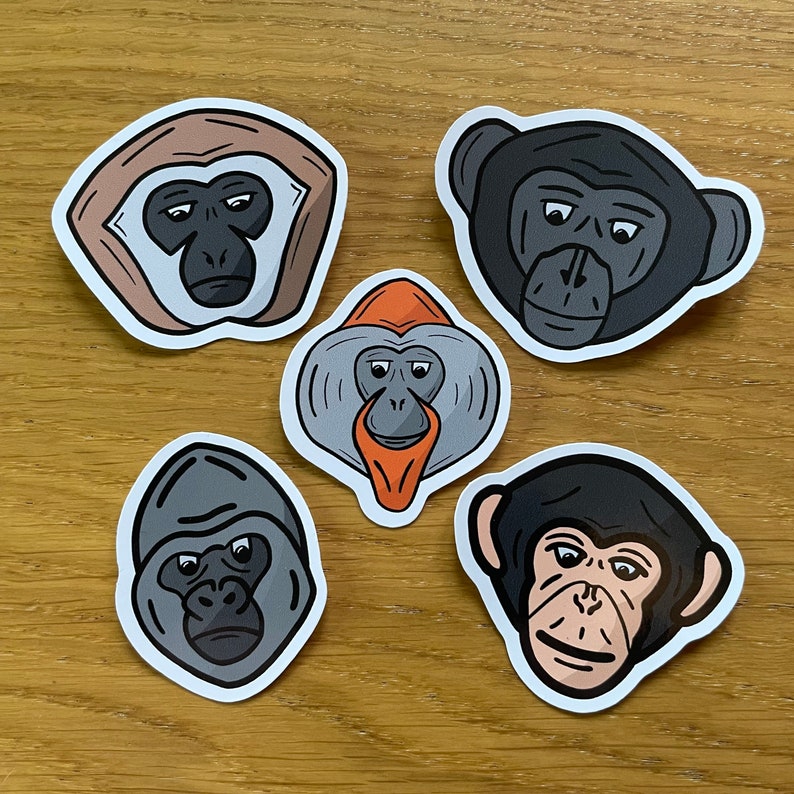 Ape Stickers Pack, Gorilla, Orangutan, Gibbon, Chimp, Bonobo, Monkey ...