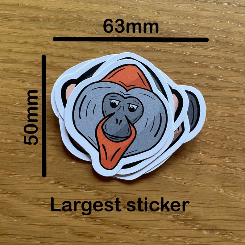 Ape Stickers Pack, Gorilla, Orangutan, Gibbon, Chimp, Bonobo, Monkey ...