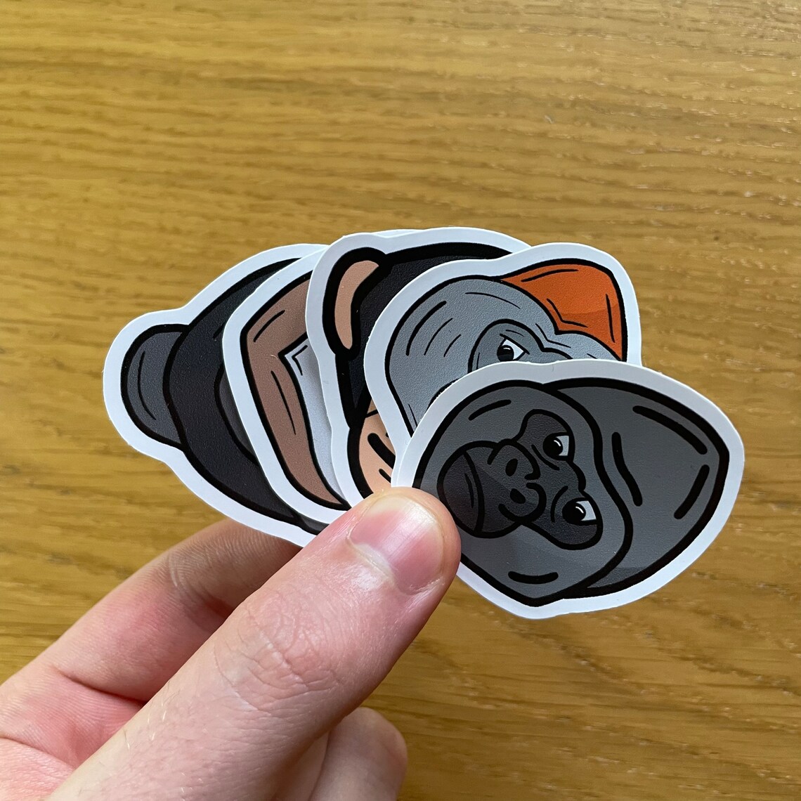 Ape Stickers Pack Gorilla Orangutan Gibbon Chimp Bonobo - Etsy