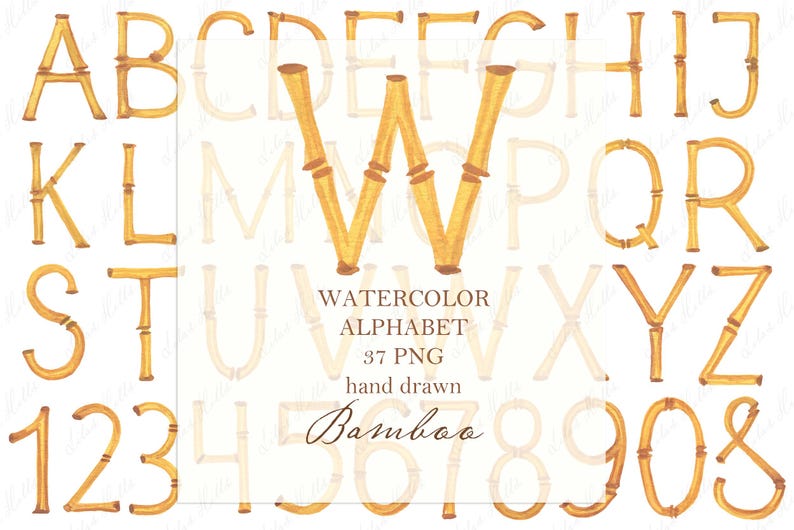 Bamboo Watercolor Alphabet, Numbers PNG Clipart (digital Download) - Etsy