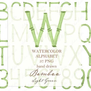 Bamboo Watercolor Letters & Numbers PNG, Wedding Monogram (digital ...