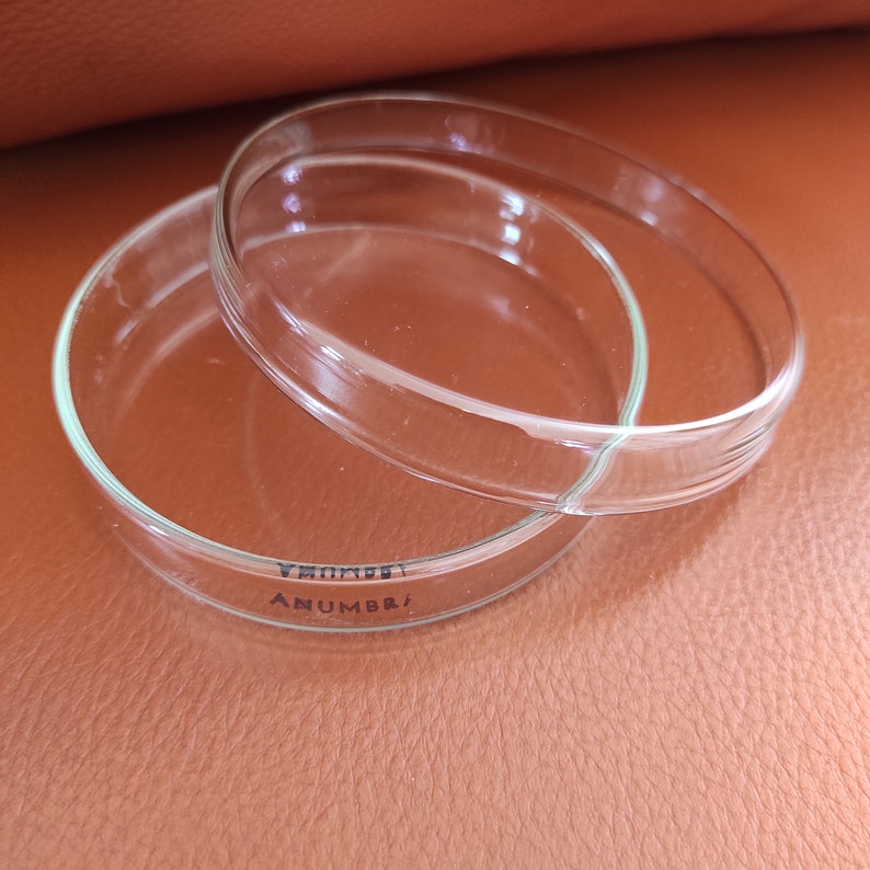 Vintage Petri Dish Medical Glass Laboratory Glassware Scientific ...