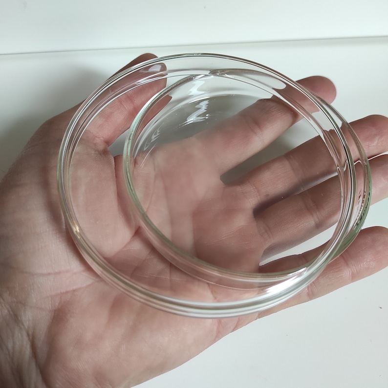 Vintage Petri Dish Medical Glass Laboratory Glassware Scientific ...