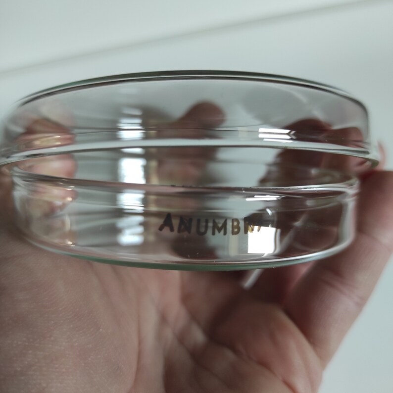 Vintage Petri Dish Medical Glass Laboratory Glassware Scientific ...