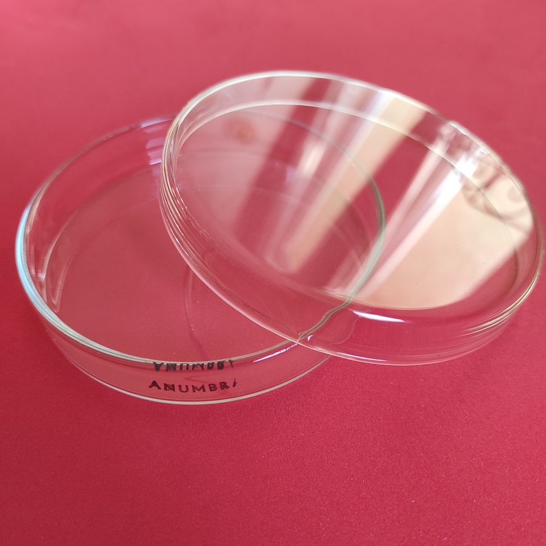 Vintage Petri Dish Medical Glass Laboratory Glassware Scientific ...