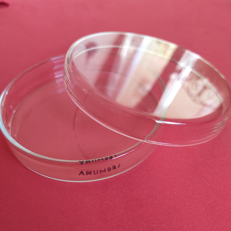 Vintage Petri Dish Medical Glass Laboratory Glassware Scientific ...