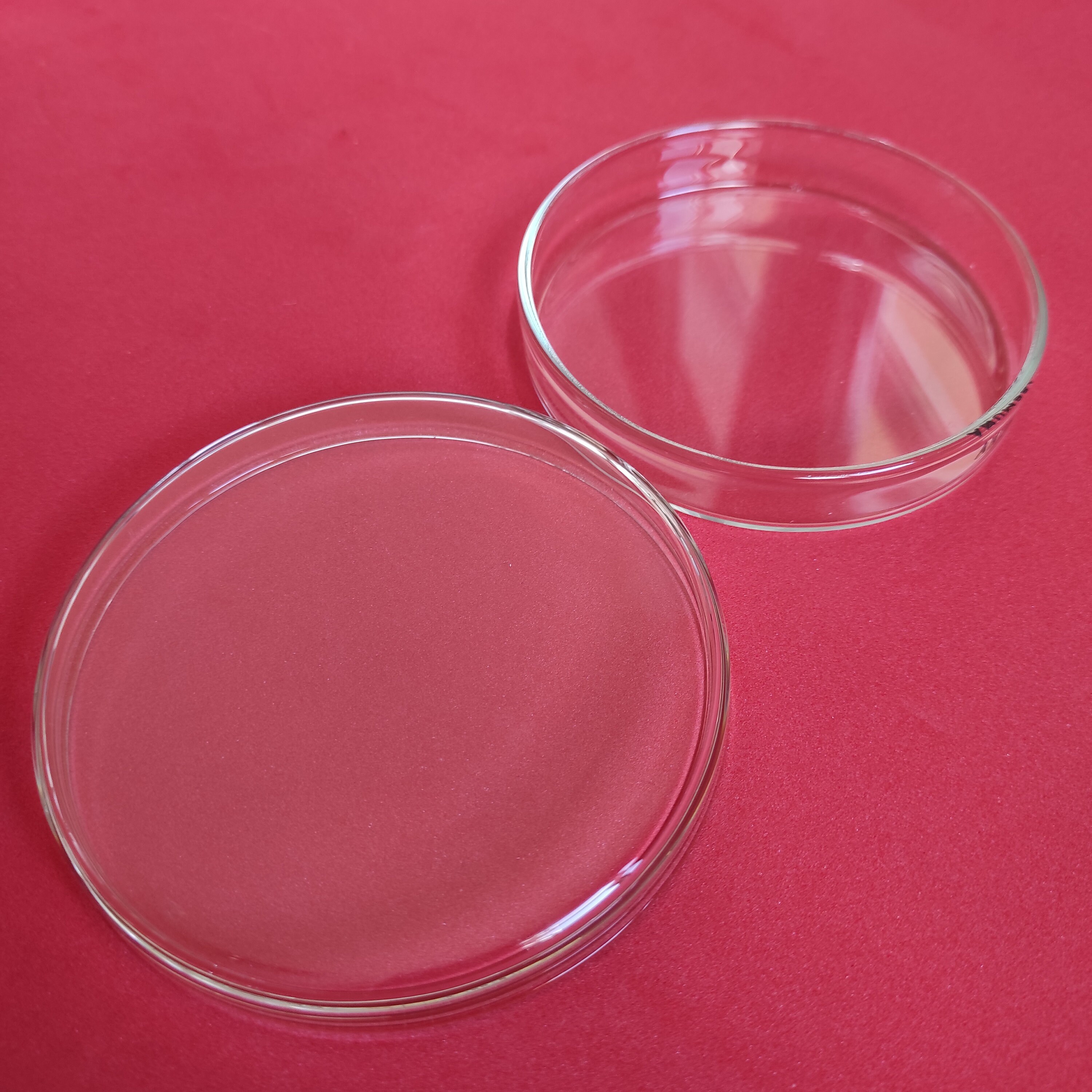 Vintage Petri Dish Medical Glass Laboratory Glassware Scientific ...