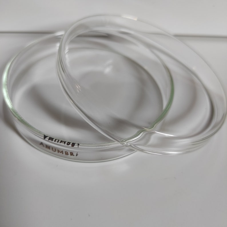 Vintage Petri Dish Medical Glass Laboratory Glassware Scientific ...