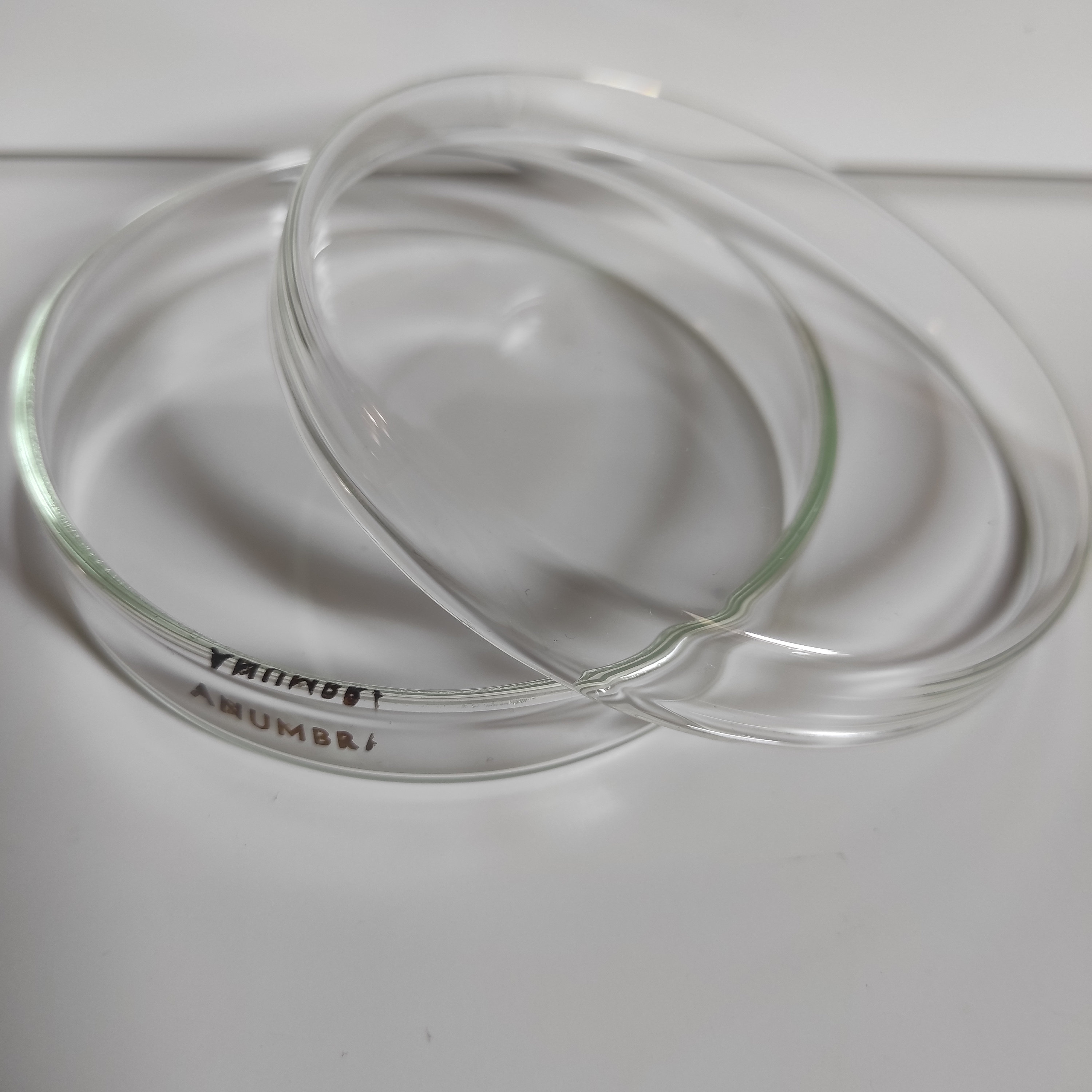Vintage Petri Dish Medical Glass Laboratory Glassware Scientific ...