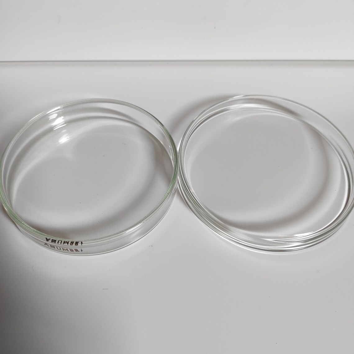 Vintage Petri Dish Medical Glass Laboratory Glassware Scientific ...