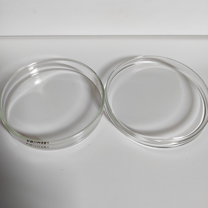 Vintage Petri Dish Medical Glass Laboratory Glassware Scientific ...
