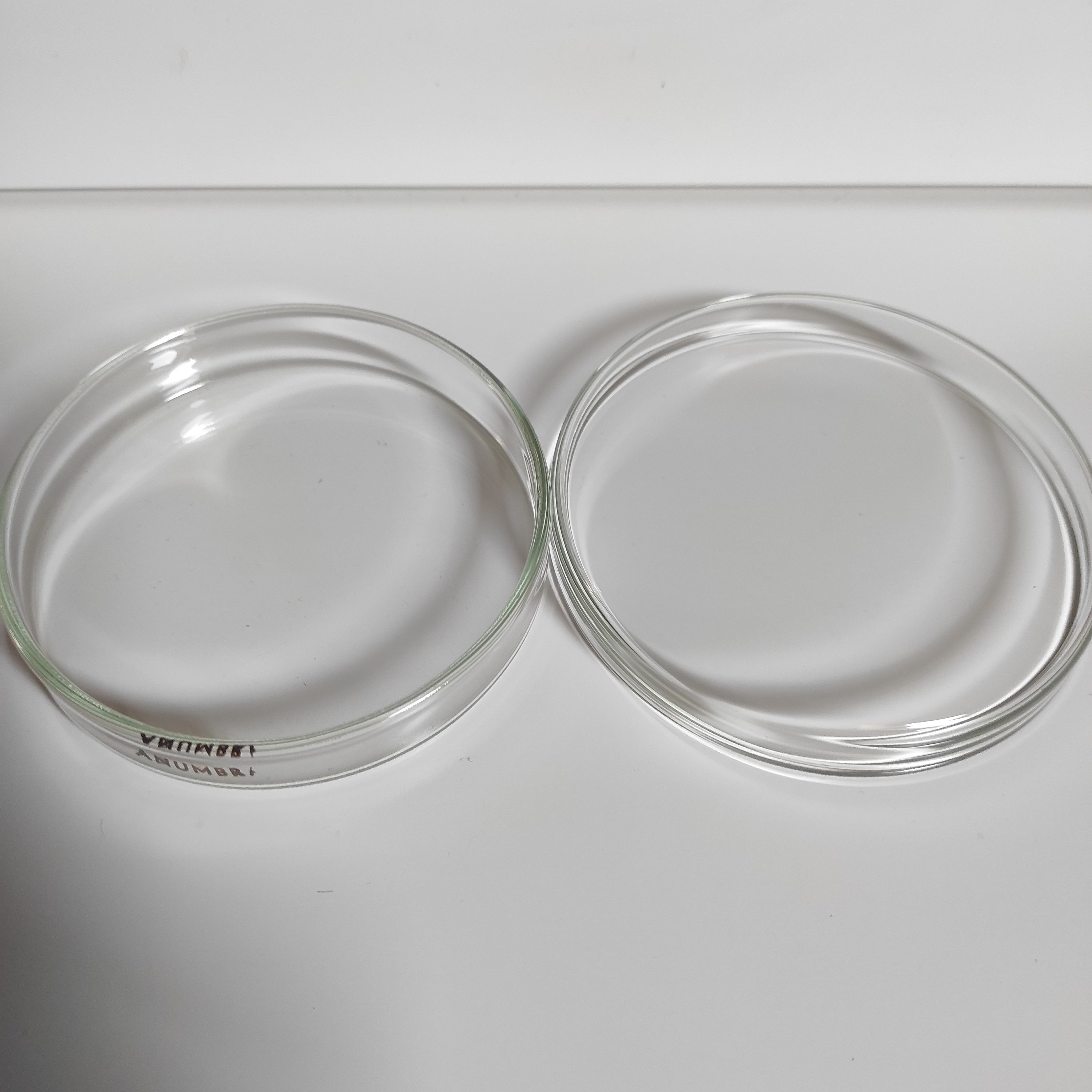 Vintage Petri Dish Medical Glass Laboratory Glassware Scientific ...