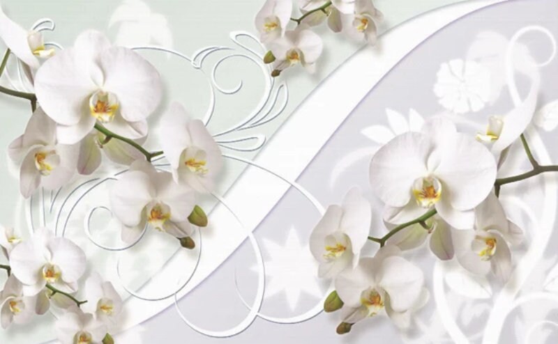 Orchids Mural Peel and Stick, Big Print Wall Mural, Large Wall Flower ...